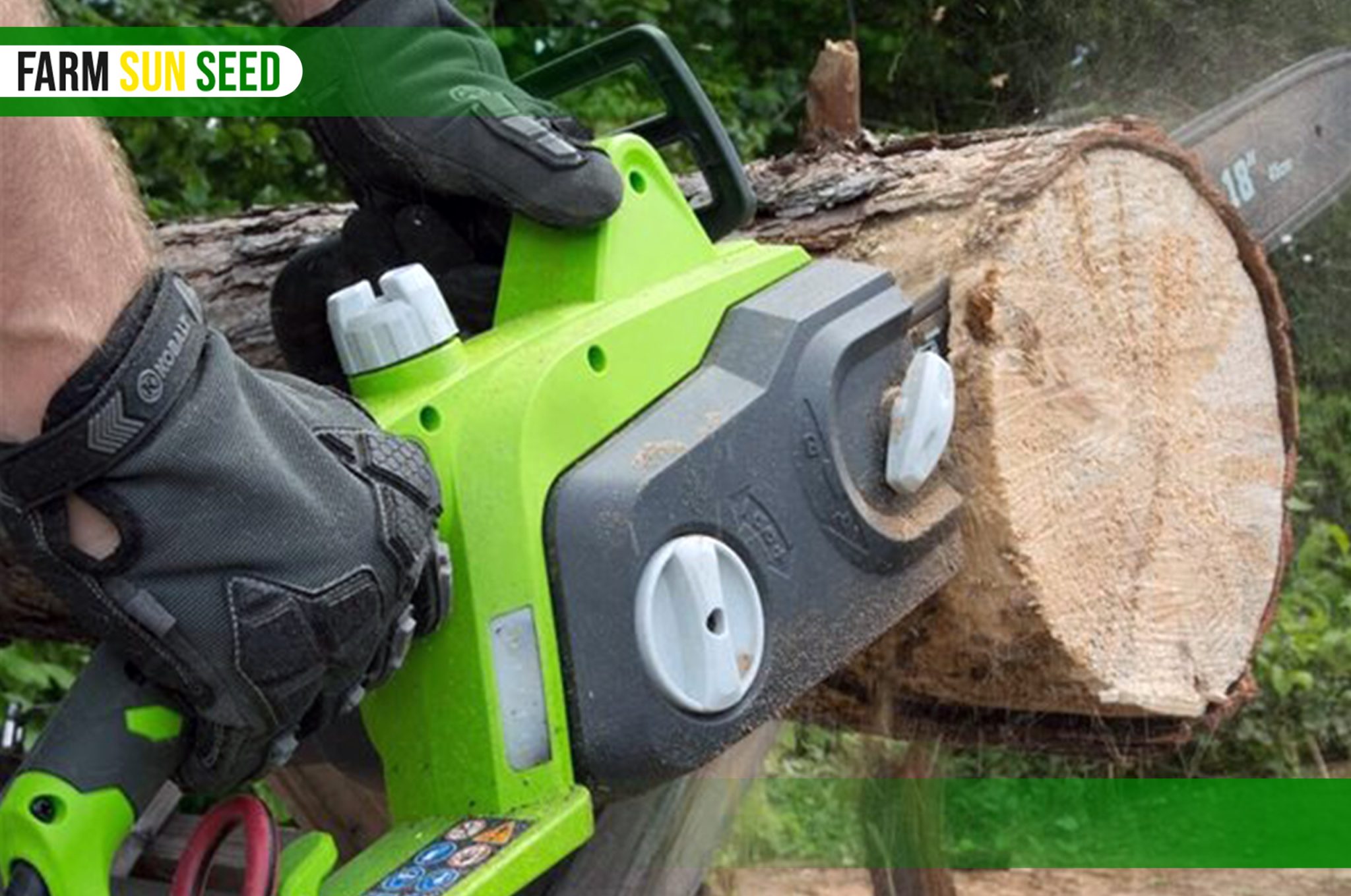 The 5 Best Chainsaws for Oak Trees of 2023