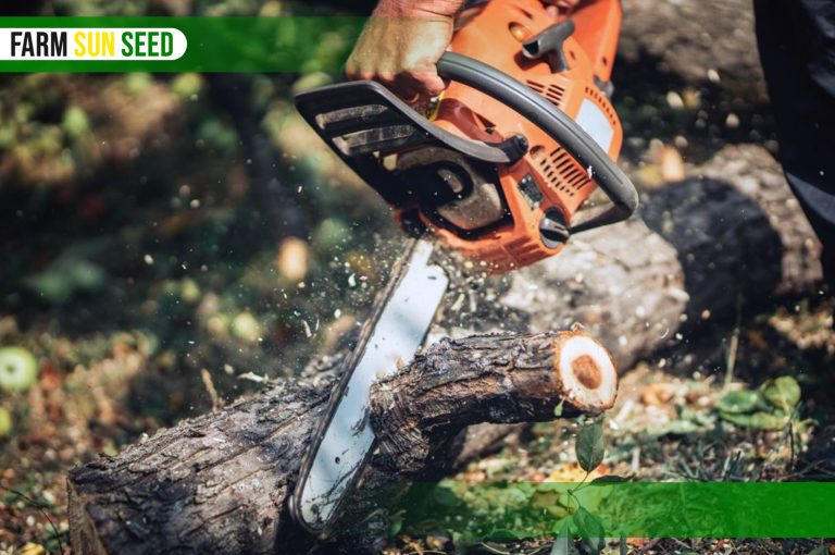 The 5 Best Limbing Chainsaws of 2023