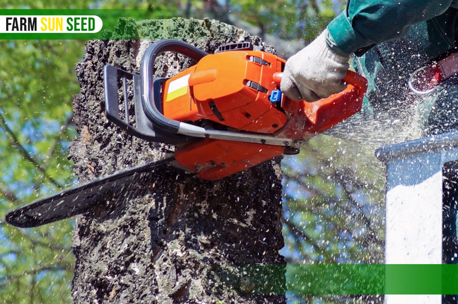 The 5 Best Chainsaws for Large Trees of 2023