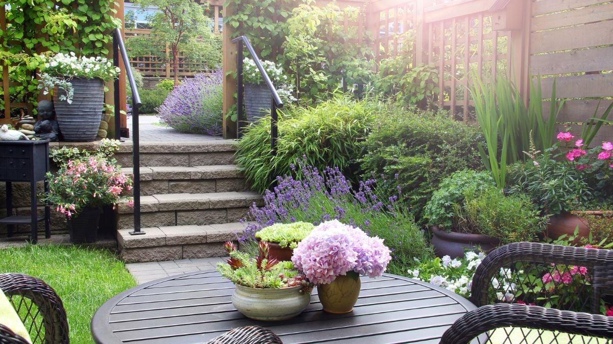 15 Small Garden Ideas for Your Tiny Lawn - Farm Sun Seed