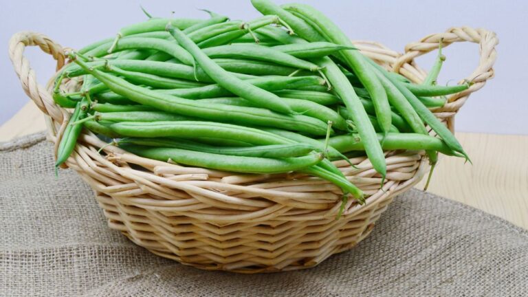 14 Fast Veggies You Can Grow in Pots and Harvest in Weeks
