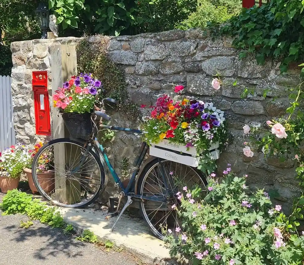 21 Stunning Bicycle Planter Ideas to Transform Your Garden Oasis (You ...