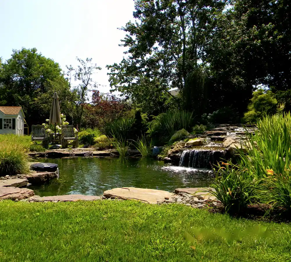 20 Breathtaking Backyard Pond Ideas for a Garden That Feels Alive