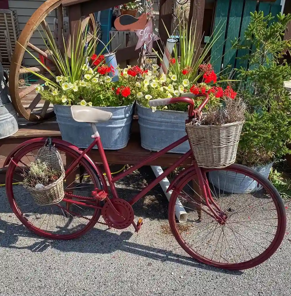 21 Stunning Bicycle Planter Ideas to Transform Your Garden Oasis (You ...