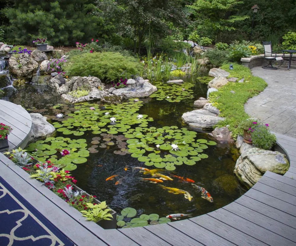 20 Breathtaking Backyard Pond Ideas for a Garden That Feels Alive