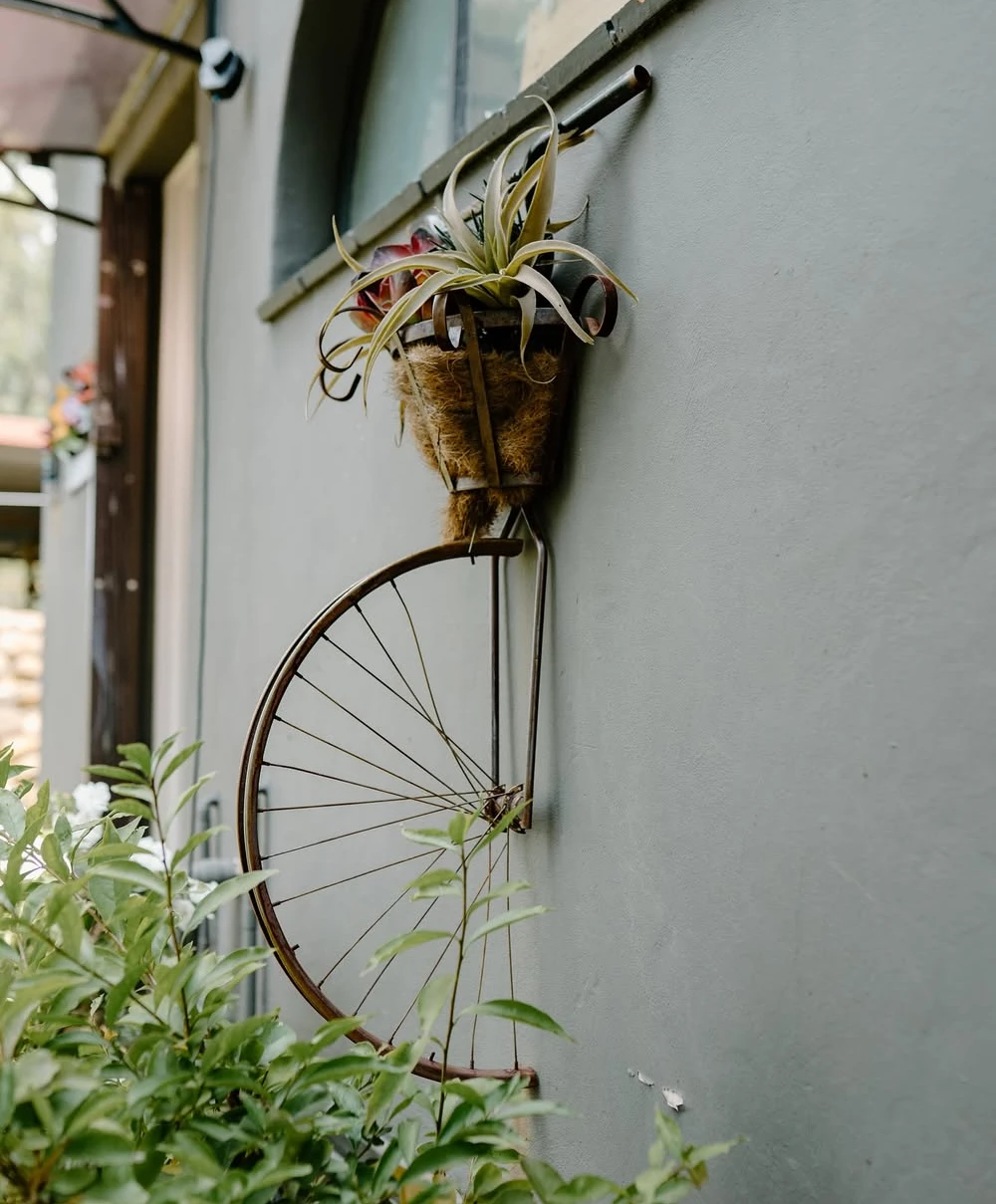 21 Stunning Bicycle Planter Ideas to Transform Your Garden Oasis (You ...