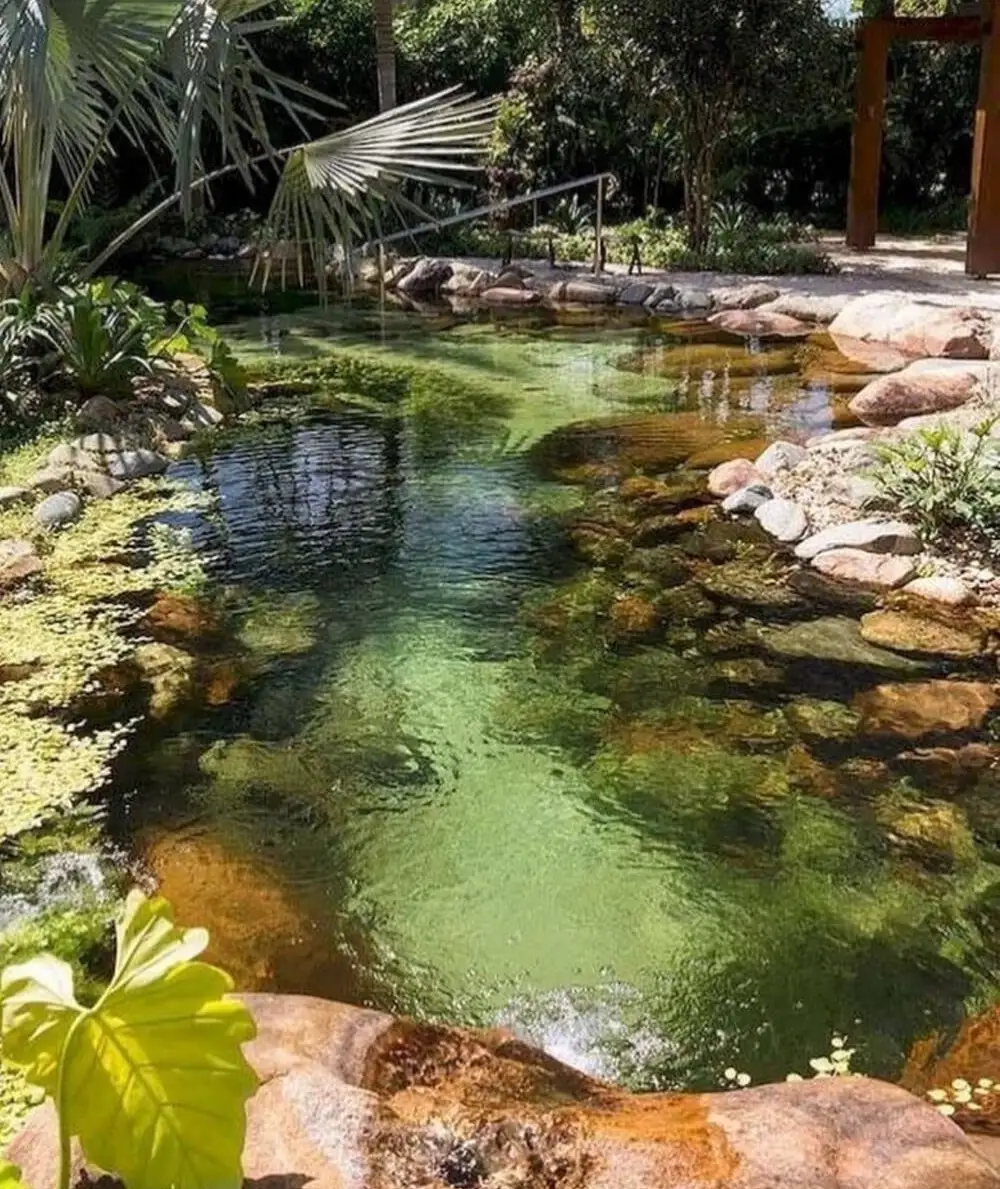 20 Breathtaking Backyard Pond Ideas for a Garden That Feels Alive