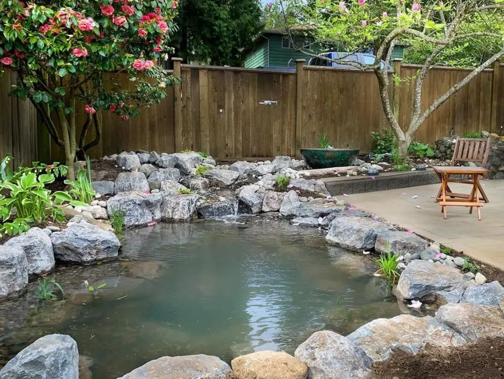 20 Breathtaking Backyard Pond Ideas for a Garden That Feels Alive