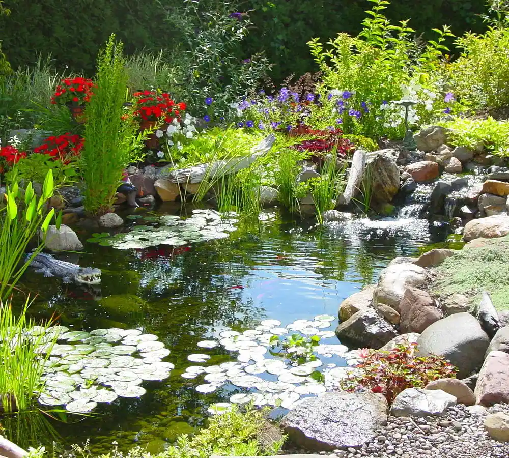 20 Breathtaking Backyard Pond Ideas for a Garden That Feels Alive