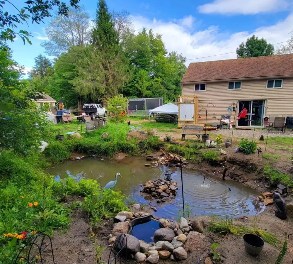 20 Breathtaking Backyard Pond Ideas for a Garden That Feels Alive