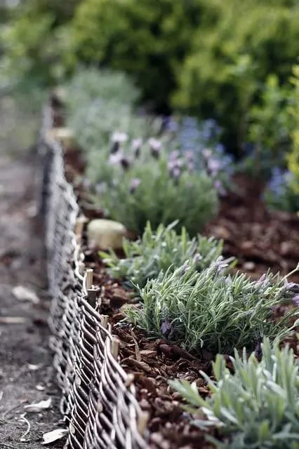 19 Genius Garden Edging Ideas for a Jaw-Dropping Landscape!