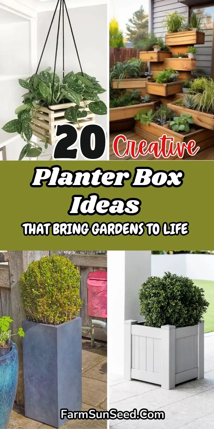 20 Creative Planter Box Ideas That Bring Gardens to Life