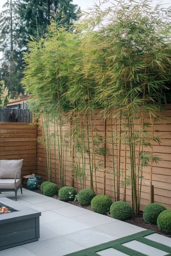 37 Unseen Brilliant Backyard Privacy Ideas from Neighbors (That Work ...