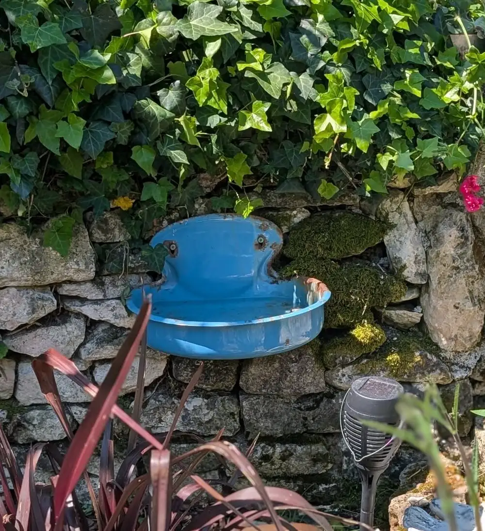 Garden Bird Bath Ideas: 20 Different Ideas And Spots To Add To Your Garden