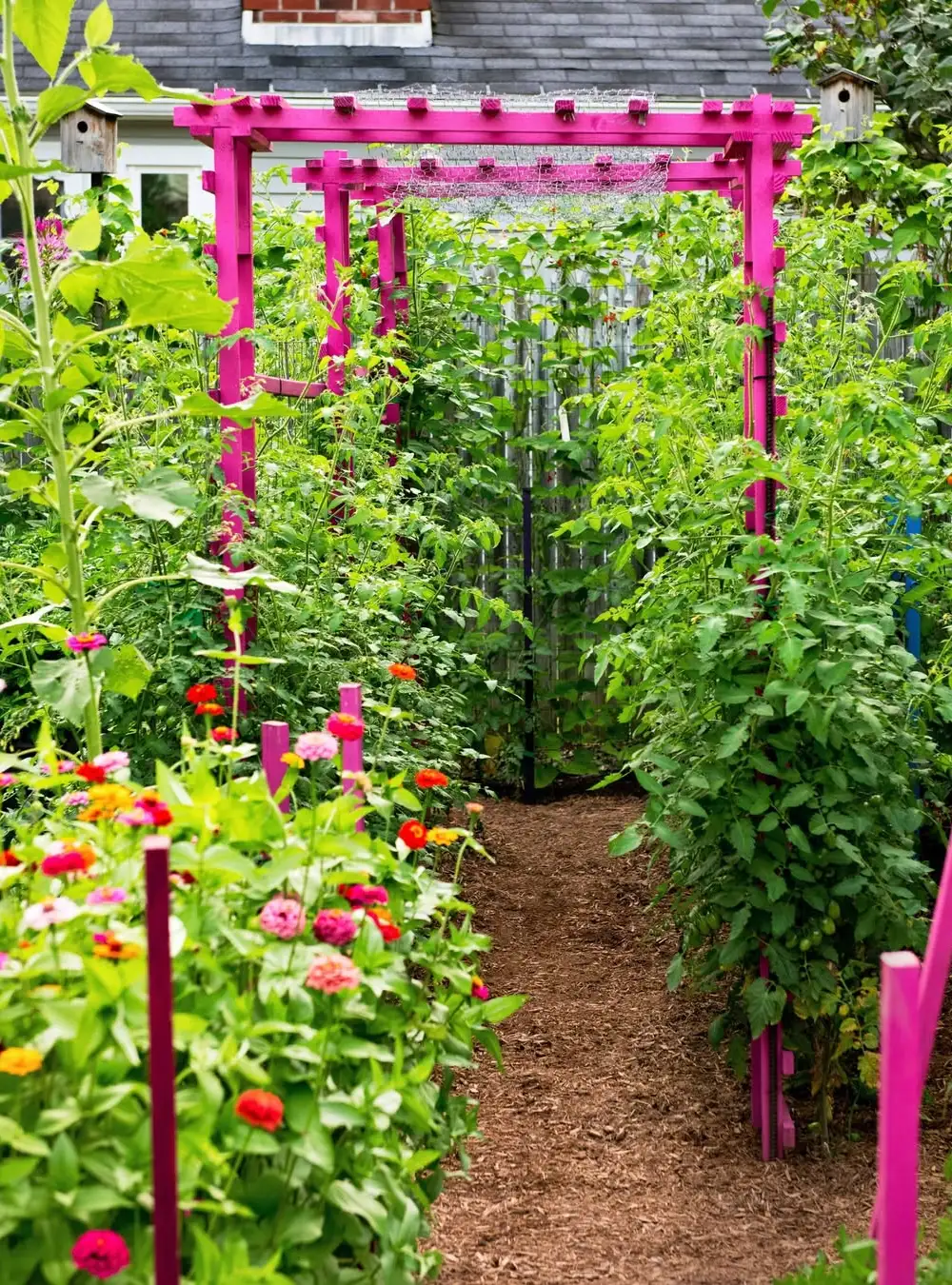 45 Creative Garden Trellis Ideas For Climbing Plants to Maximize Your ...