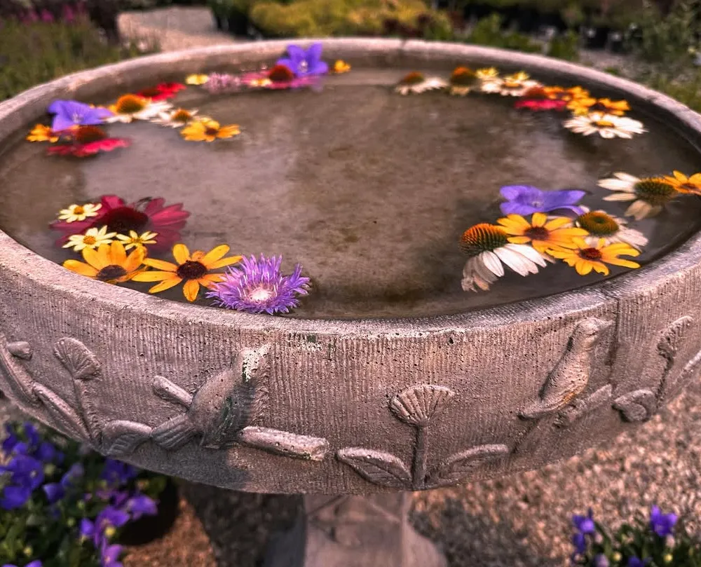 Garden Bird Bath Ideas: 20 Different Ideas And Spots To Add To Your Garden