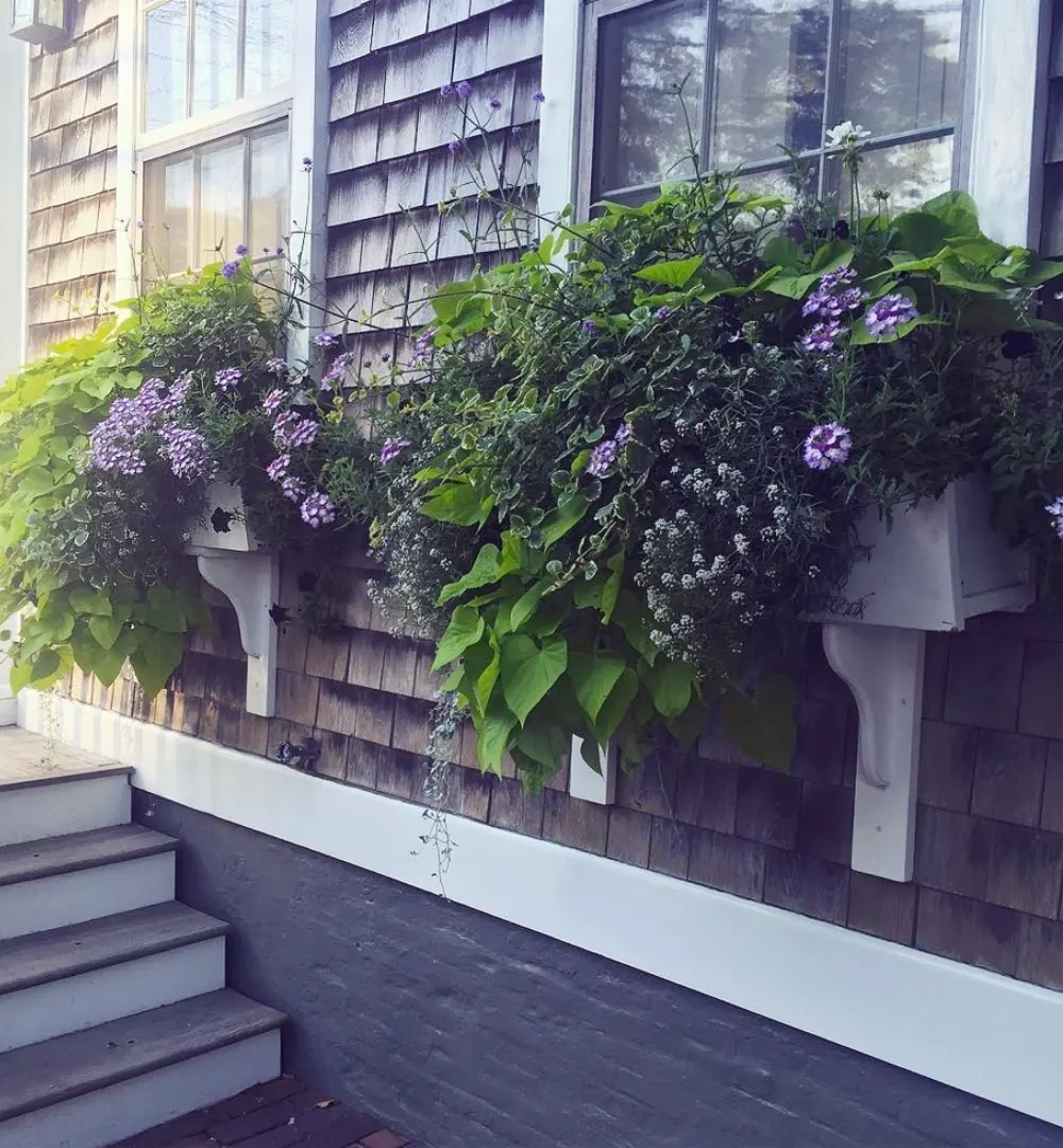 35 Breathtaking Flower Box Ideas To Refresh Your Windowsills