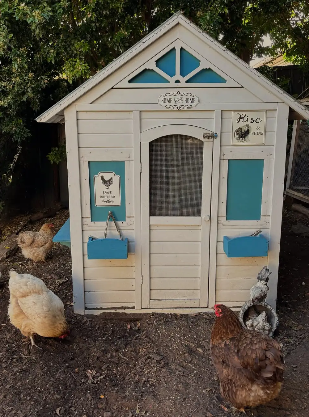 35 Clean & Easy Chicken Coop Designs for the Beginner Backyard Farmer