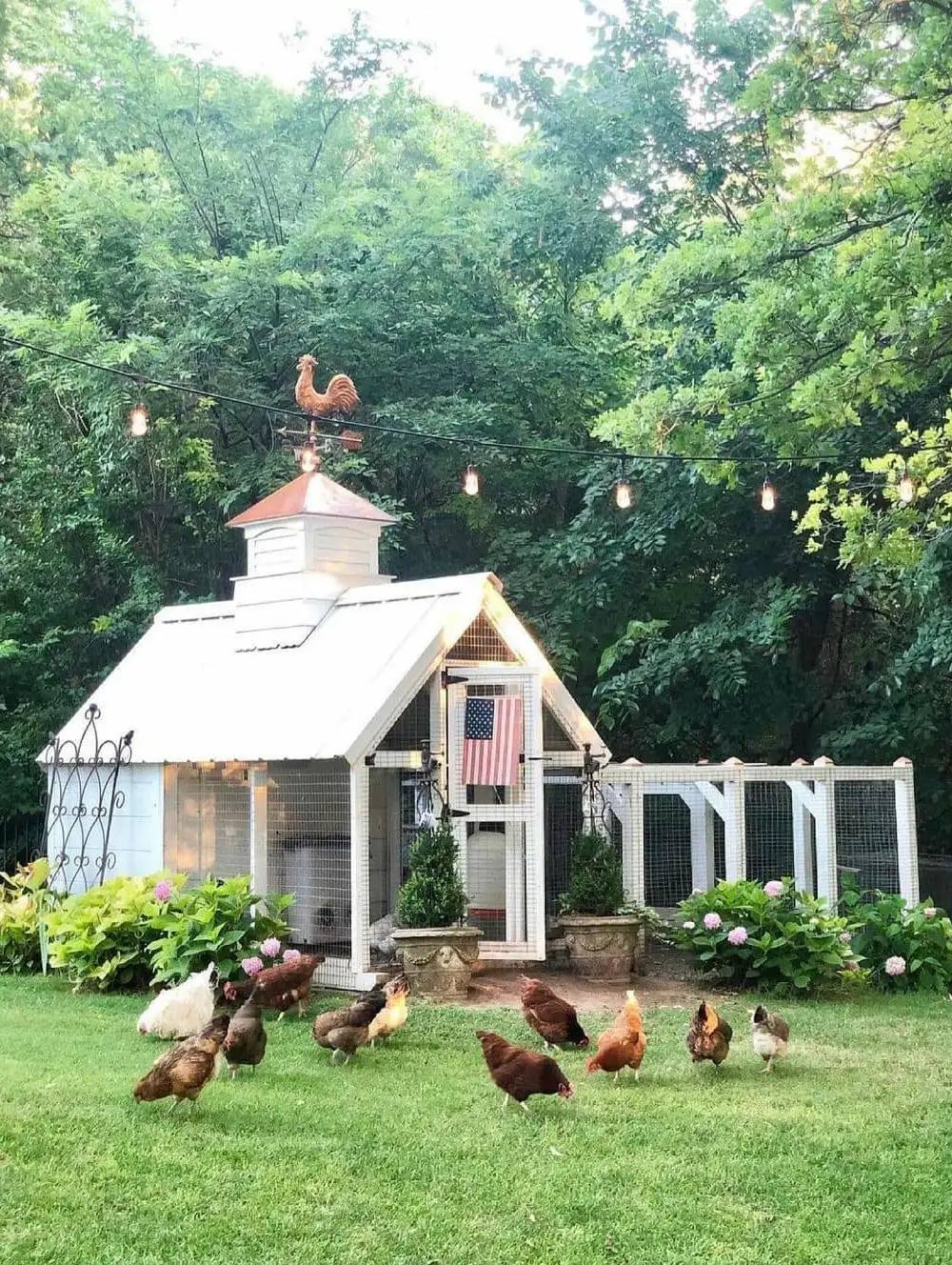 35 Clean & Easy Chicken Coop Designs for the Beginner Backyard Farmer