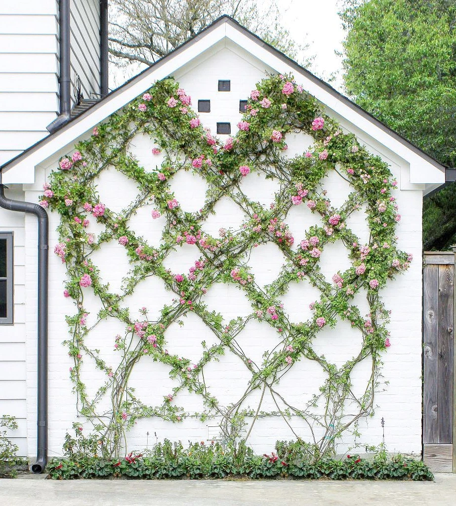 45 Creative Garden Trellis Ideas For Climbing Plants to Maximize Your ...