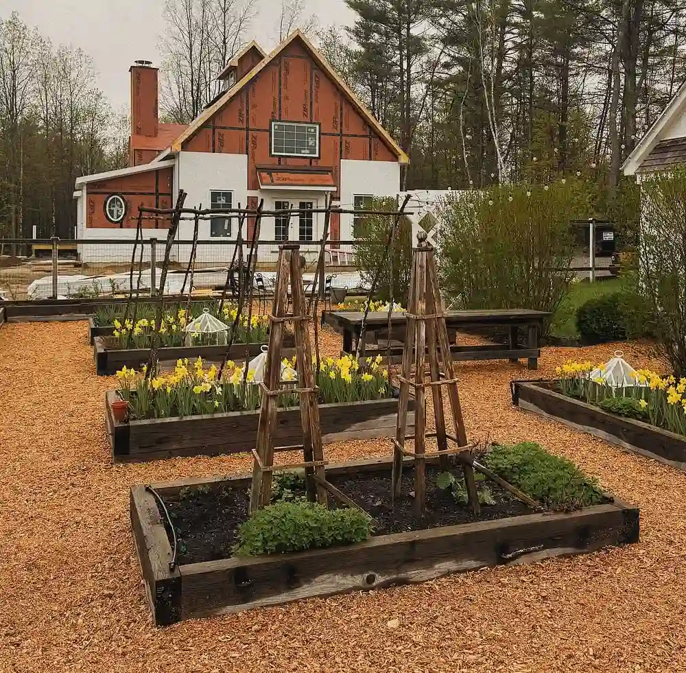 40 Easy DIY Gardening Ideas With Vegetables