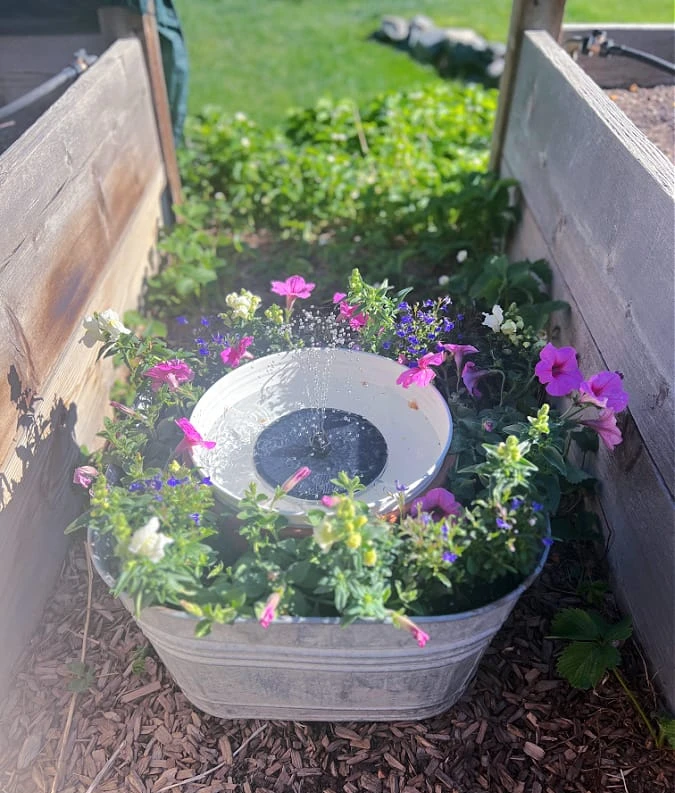 21 Easy DIY Solar Water Fountain Designs to Enhance Your Outdoor Space