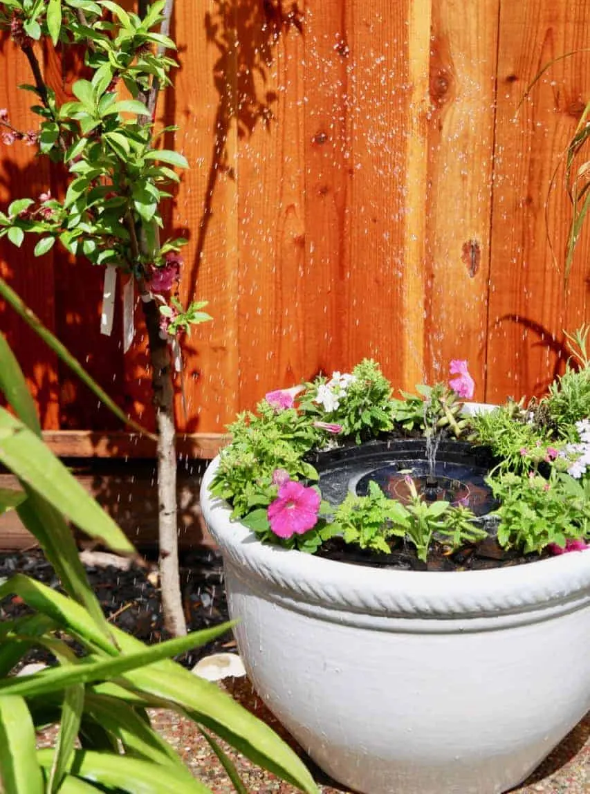 21 Easy DIY Solar Water Fountain Designs to Enhance Your Outdoor Space