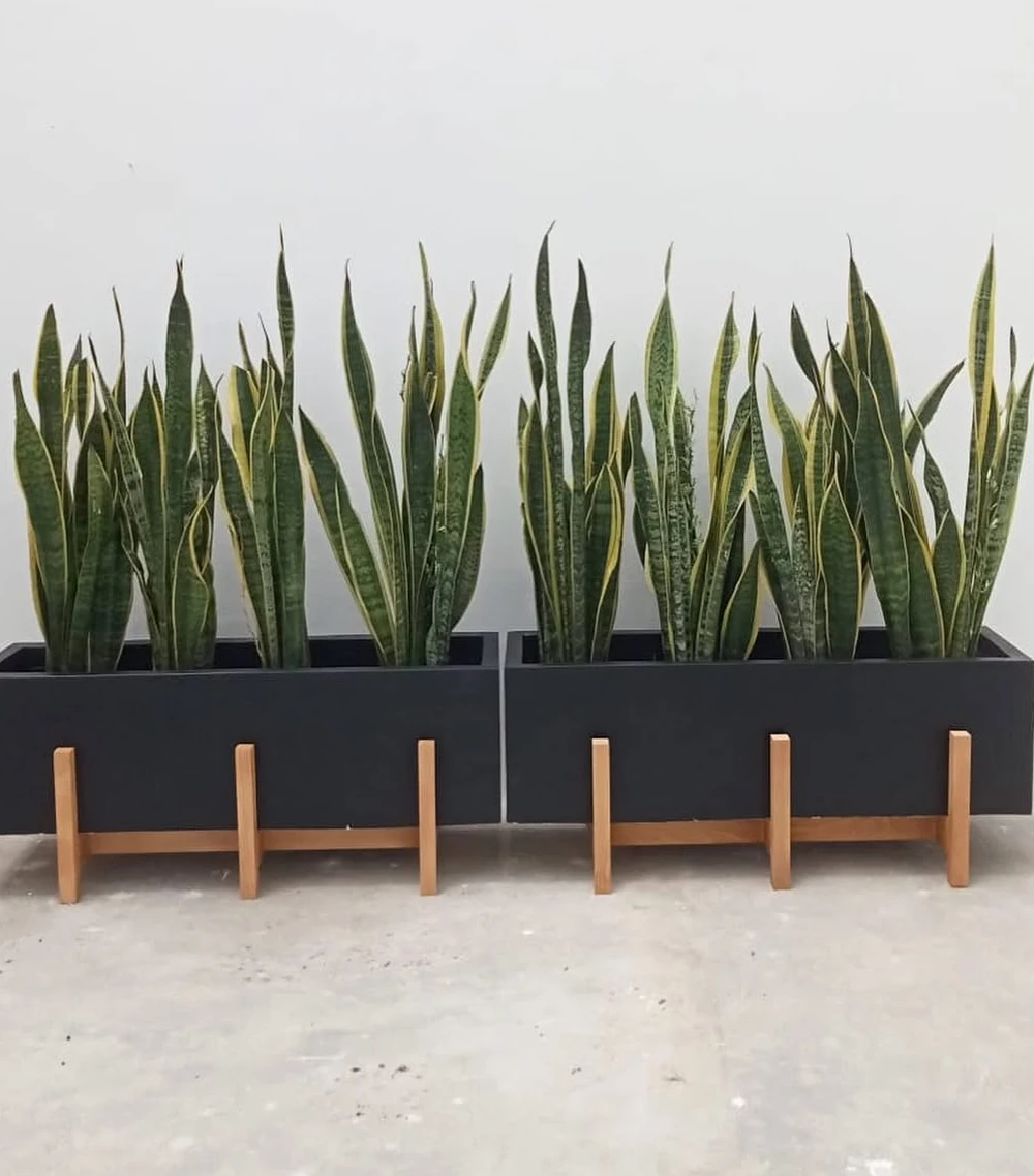 20 Creative Planter Box Ideas That Bring Gardens to Life