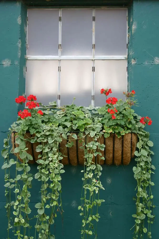 35 Breathtaking Flower Box Ideas To Refresh Your Windowsills