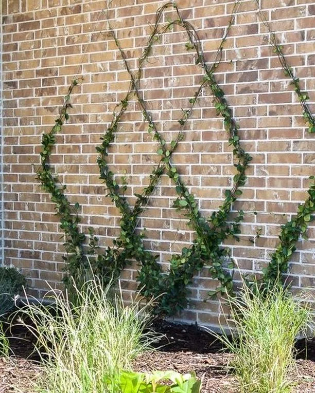 45 Creative Garden Trellis Ideas For Climbing Plants to Maximize Your ...