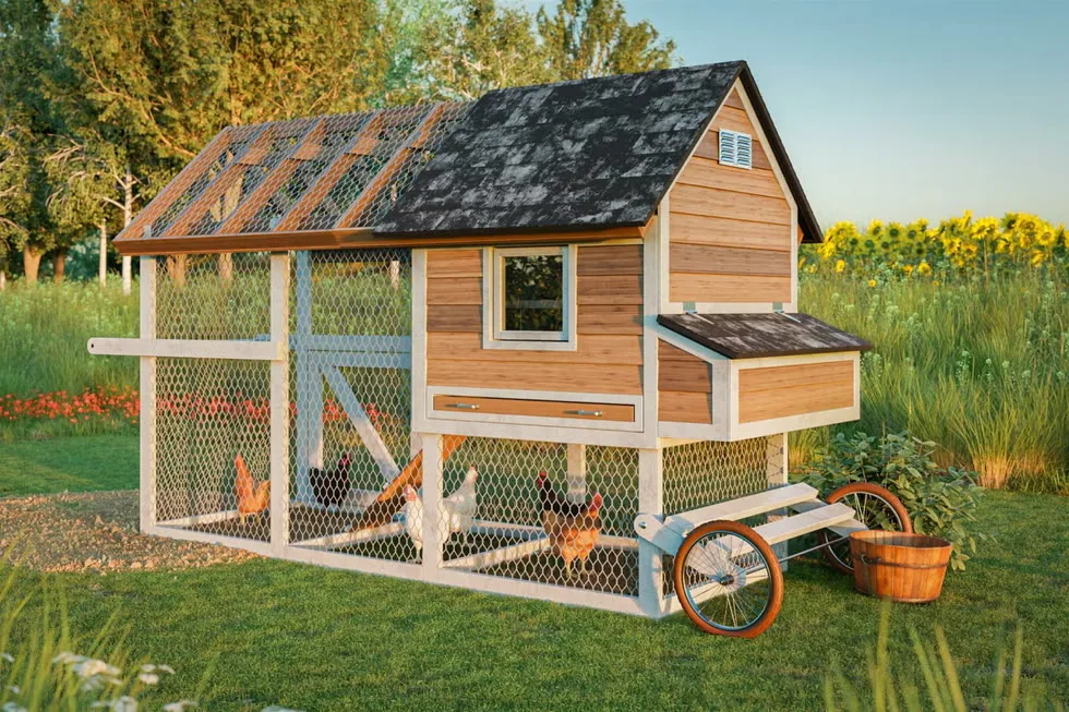 35 Clean & Easy Chicken Coop Designs for the Beginner Backyard Farmer