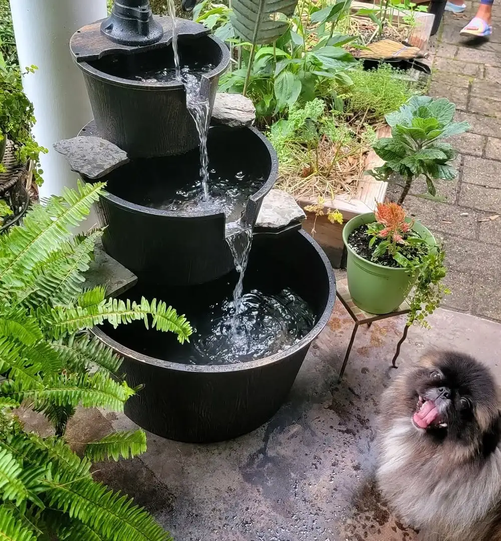40 Natural-Looking Backyard Waterfall Ideas That Instantly Boost Your ...