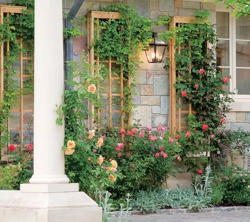 45 Creative Garden Trellis Ideas For Climbing Plants to Maximize Your ...