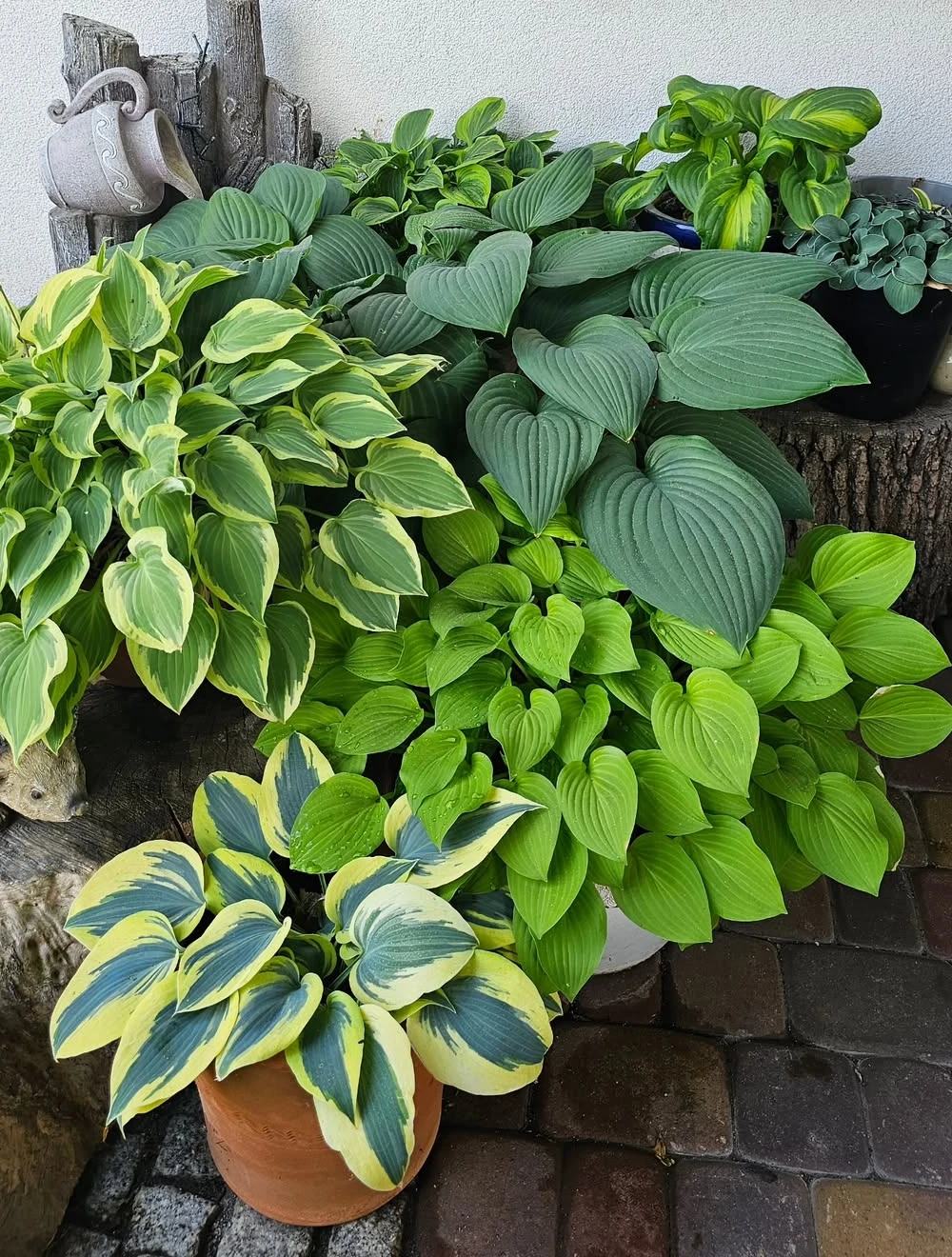 19 Must-See Full Sun Flower Bed Ideas That Will Blow Your Mind ...
