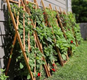 35 Simple Herb Garden Ideas For Small Spaces