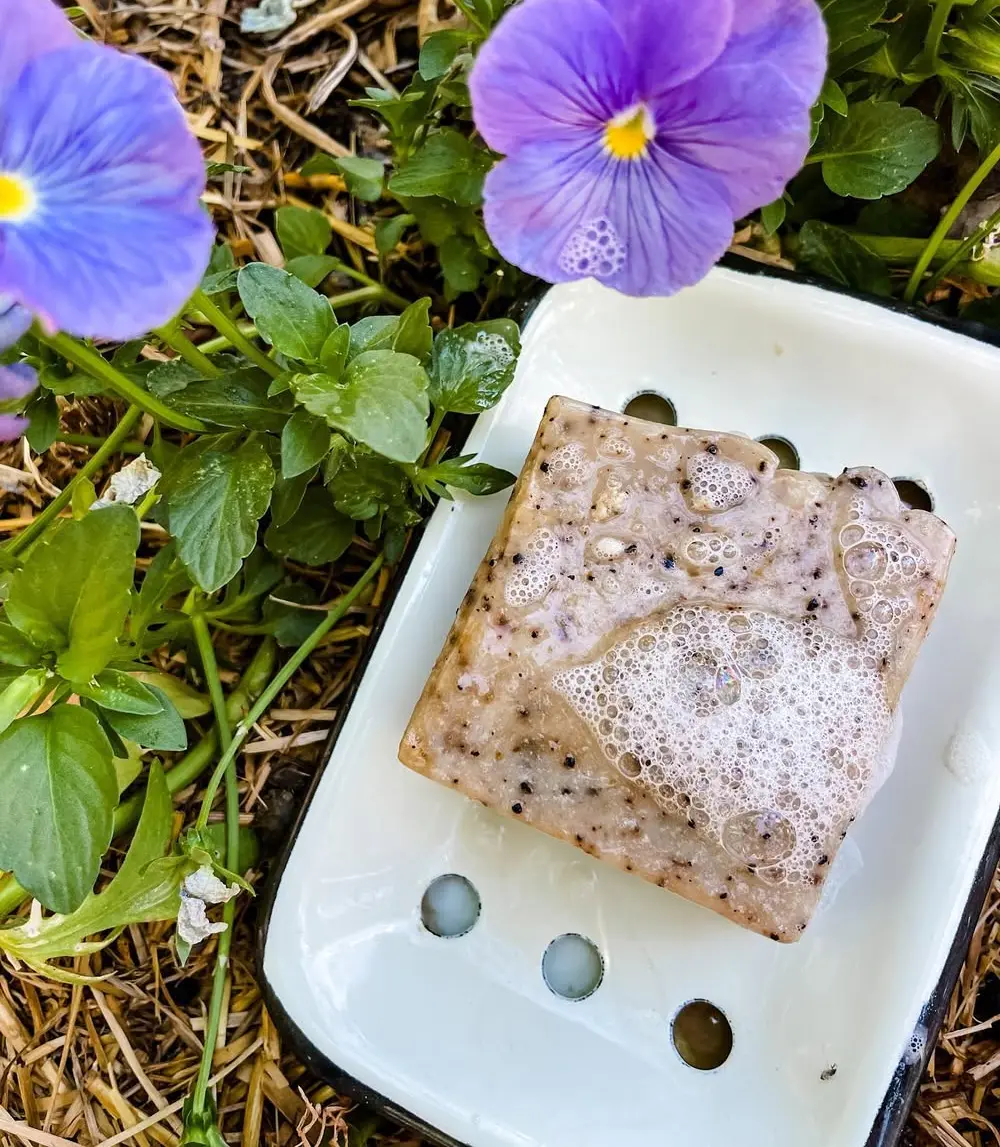 30 Surprising Reasons You Should Put A Bar Of Soap In Your Garden