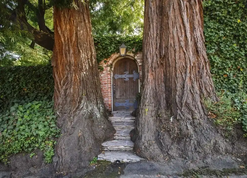 How To Create Your Own Secret Garden With These Simple Yet Most ...