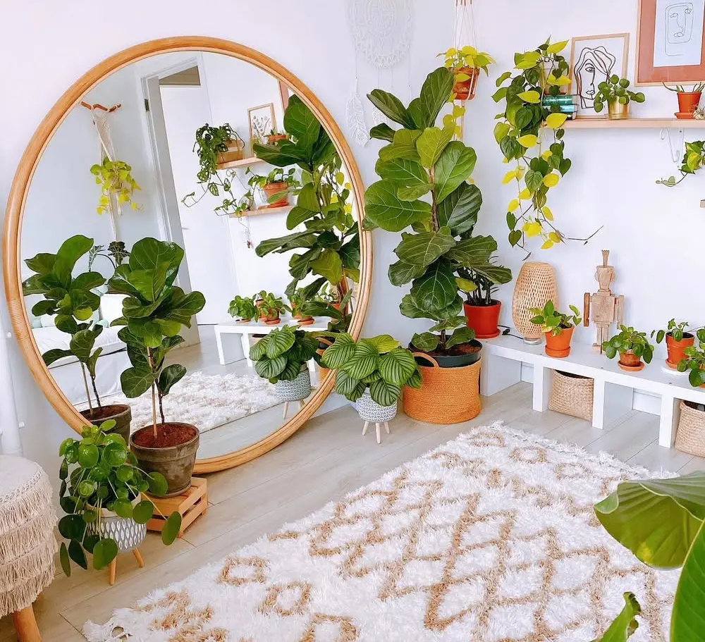 35 Vibrant Indoor Plant Stand Ideas to Build Your Dream Indoor Garden