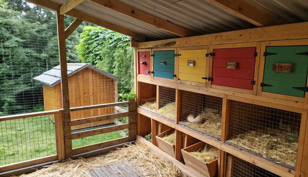 Functional Inside Chicken Coop Designs (30 Easy To Clean Interior Ideas)