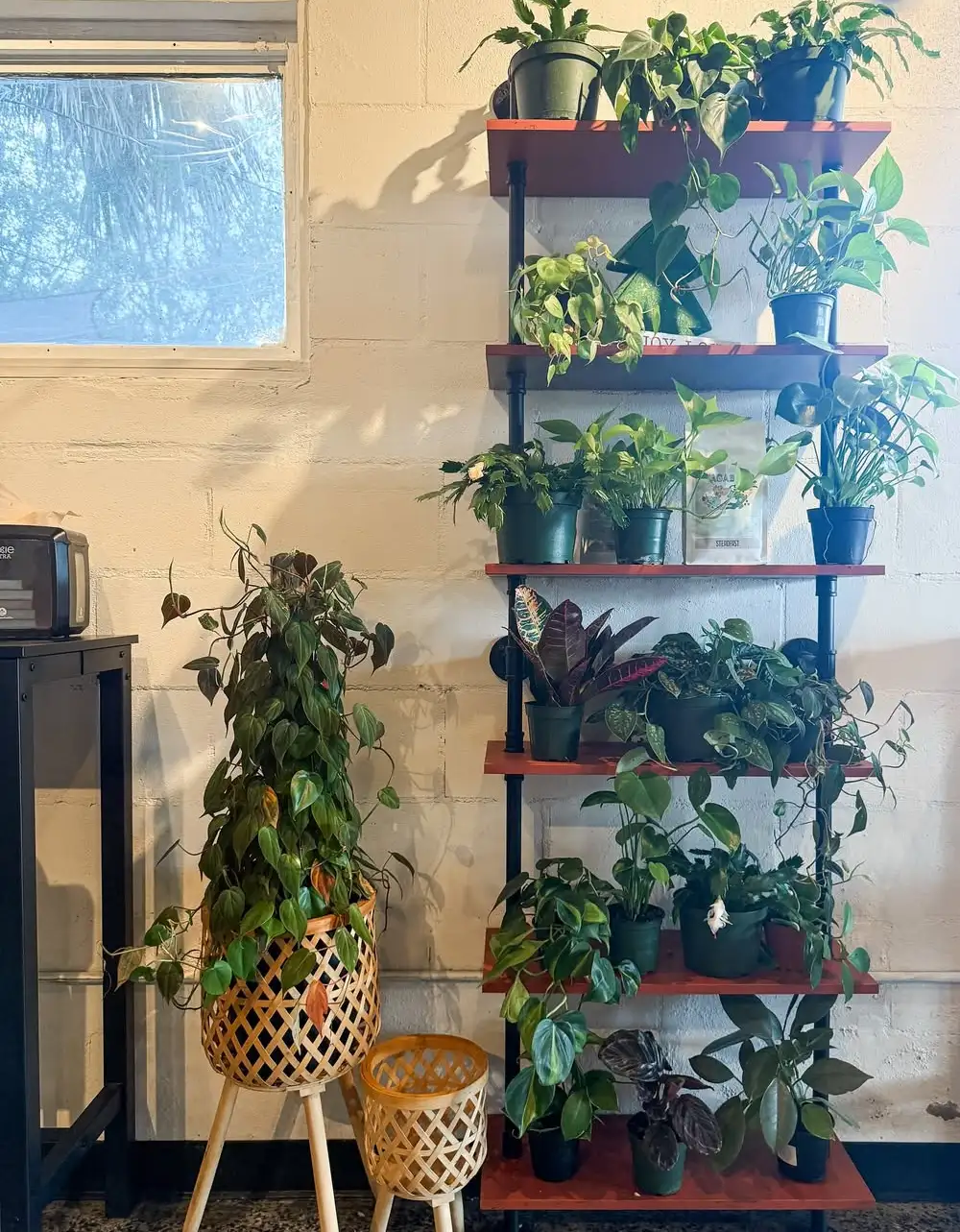35 Vibrant Indoor Plant Stand Ideas to Build Your Dream Indoor Garden