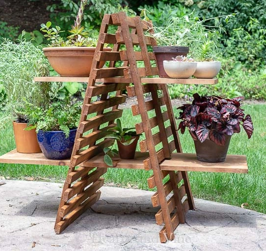 30 Cheap DIY Plant Stand Ideas For Beginners (Creative & Budget Friendly)
