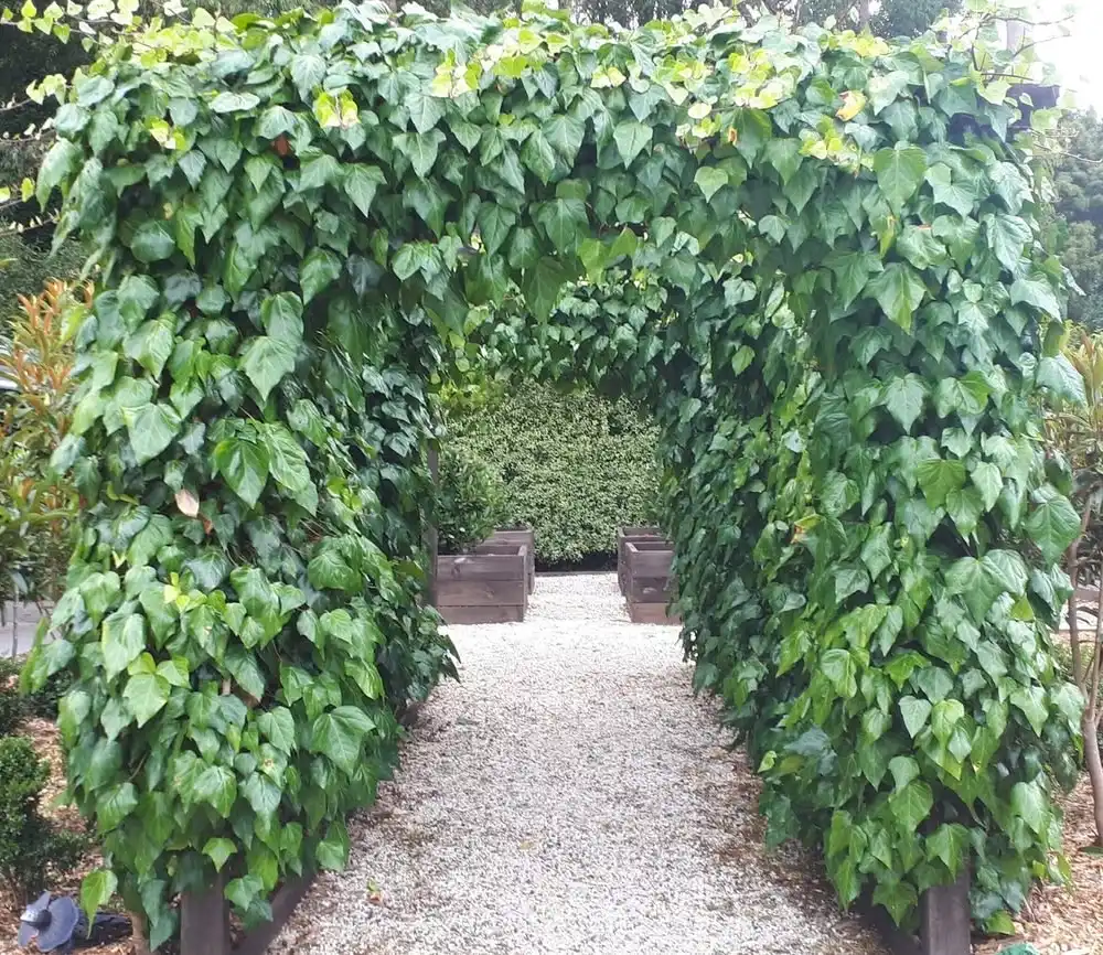 35 Simple Garden Archway Ideas You Can Easily DIY
