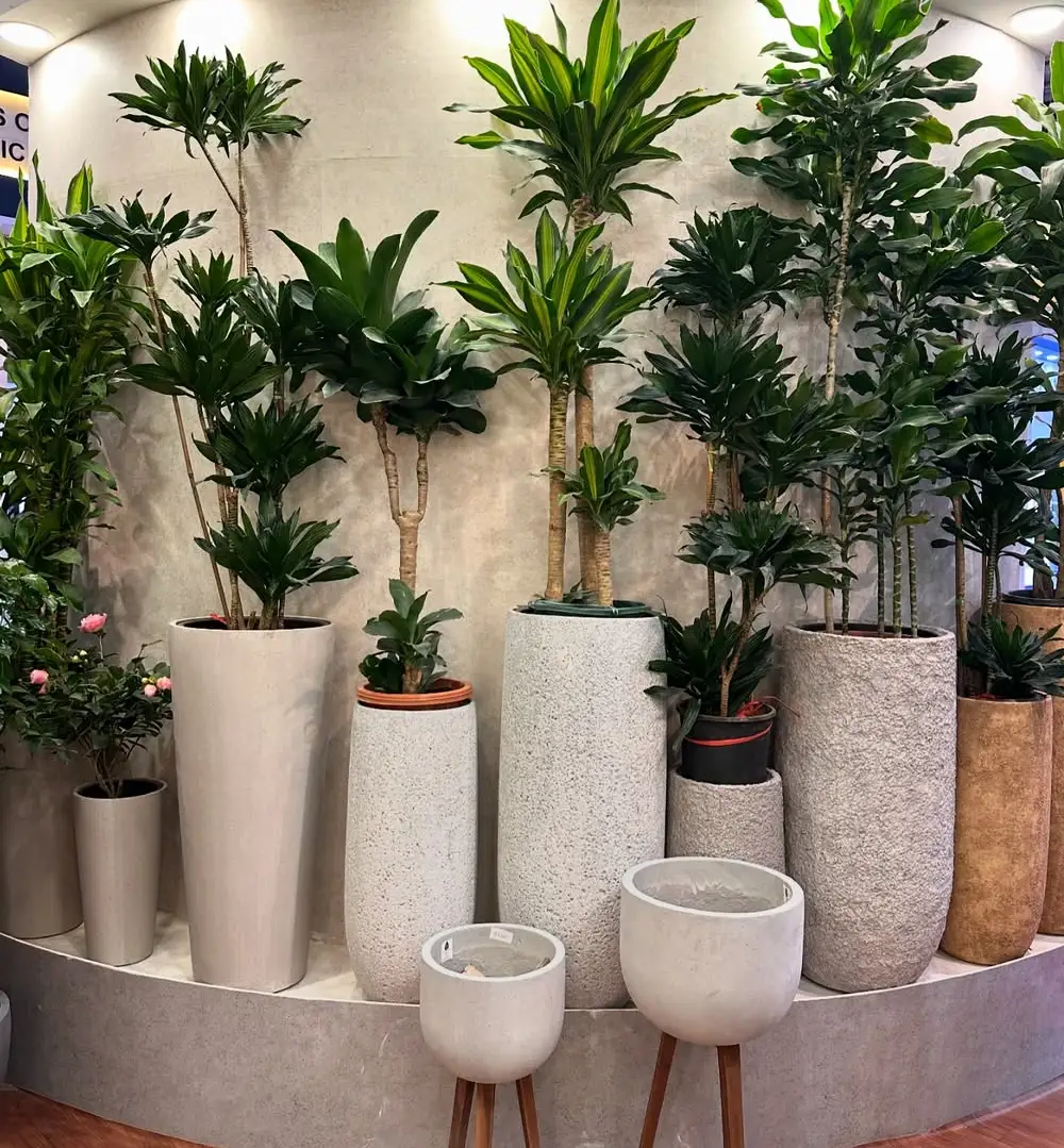 35 Vibrant Indoor Plant Stand Ideas to Build Your Dream Indoor Garden