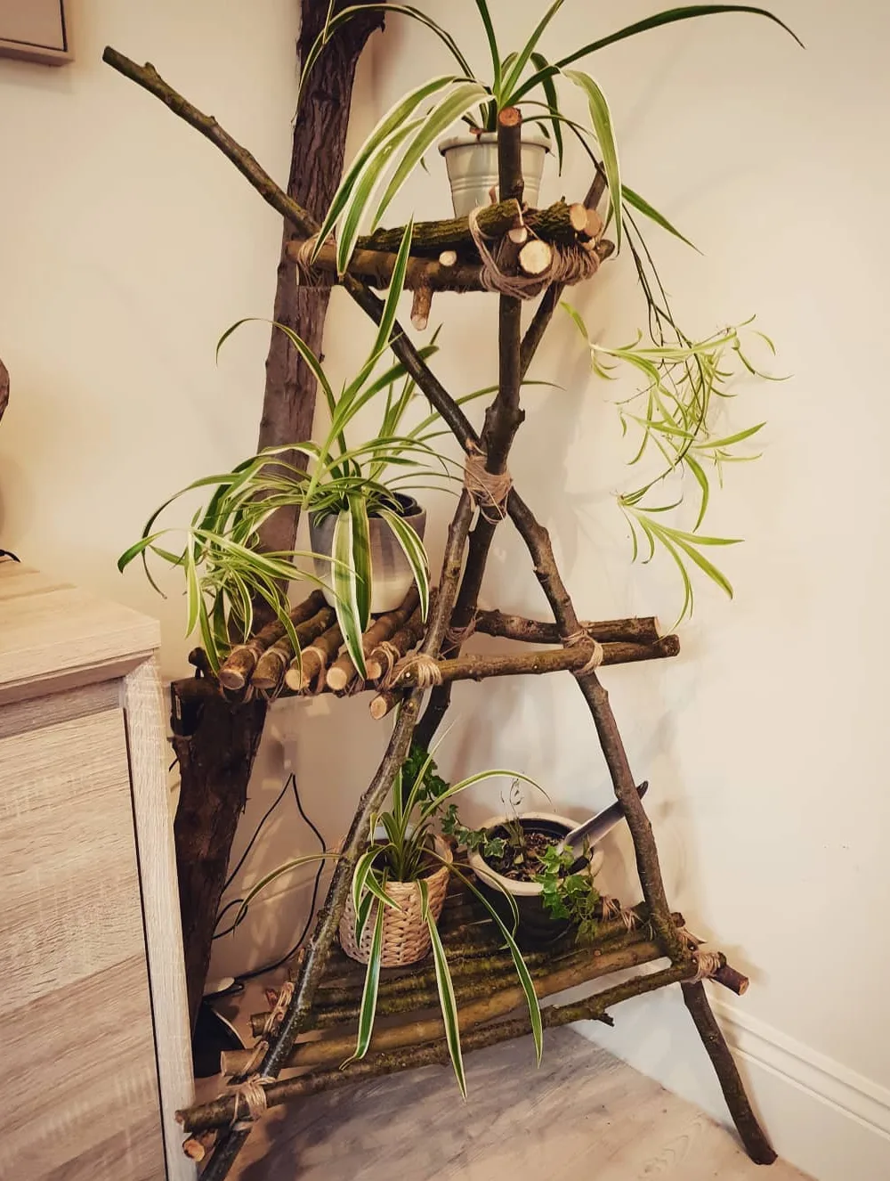 30 Cheap DIY Plant Stand Ideas For Beginners (Creative & Budget Friendly)