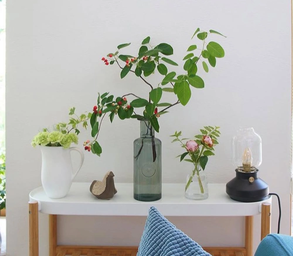 35 Vibrant Indoor Plant Stand Ideas to Build Your Dream Indoor Garden