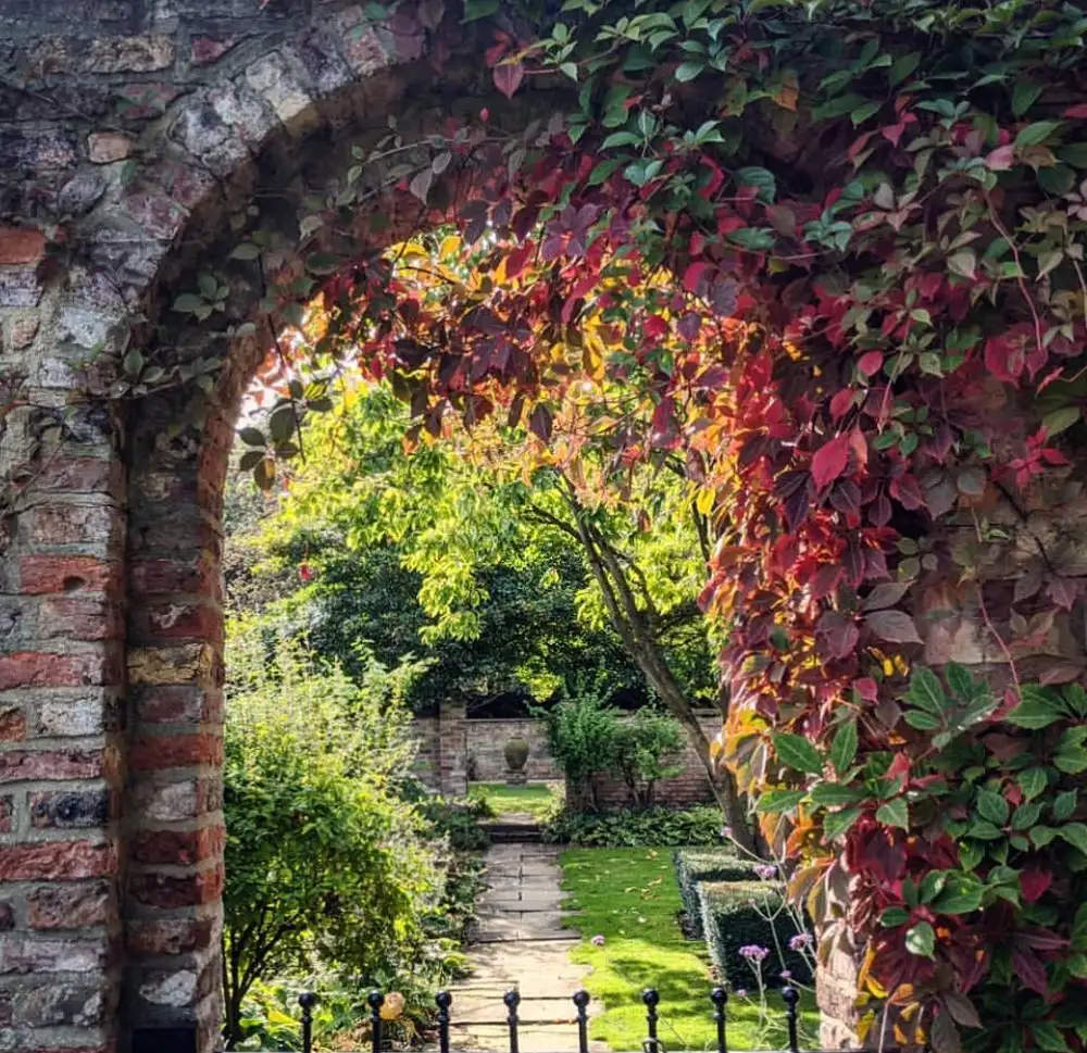 35 Simple Garden Archway Ideas You Can Easily DIY