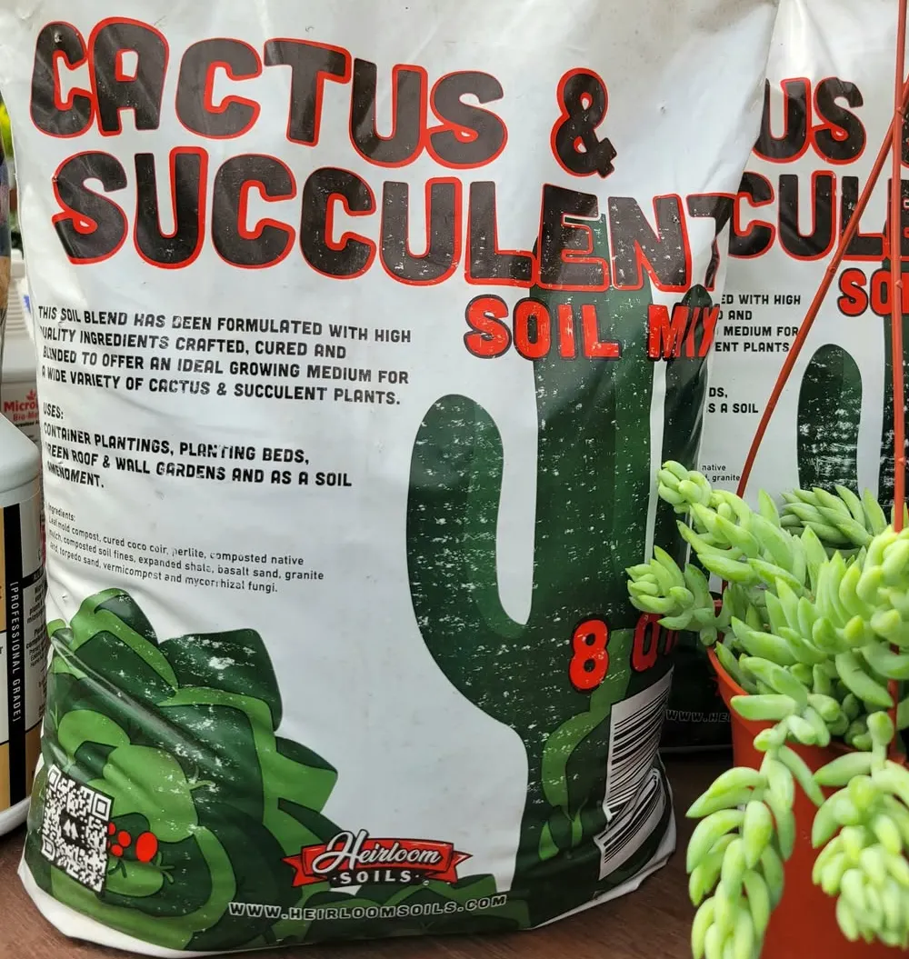 Perfect Soil Mixes for Every Indoor Plant - The Only Guide You'll Ever Need