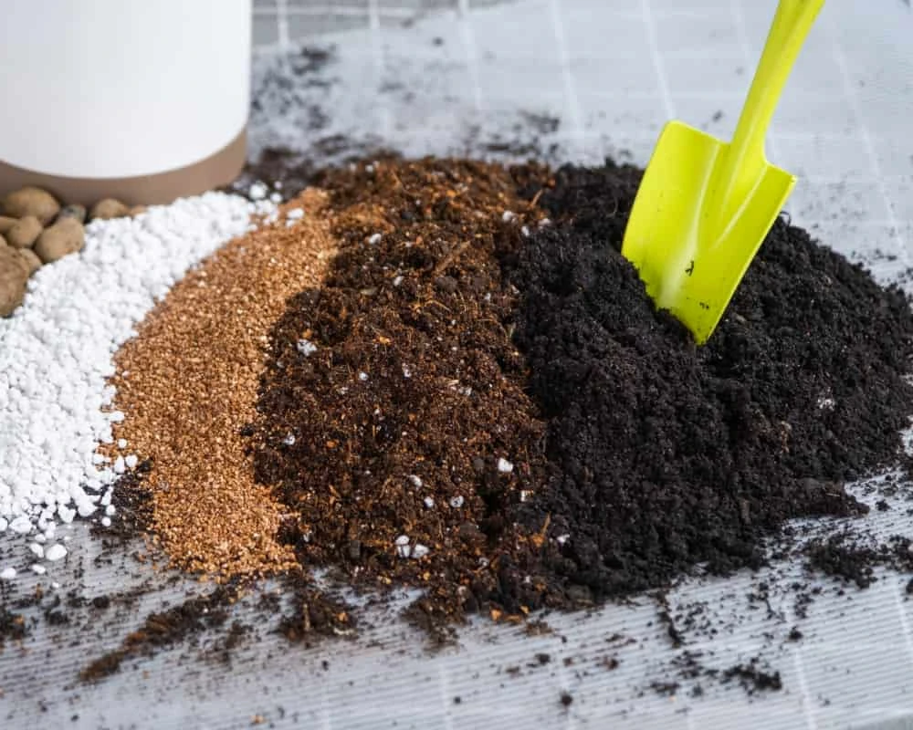Perfect Soil Mixes for Every Indoor Plant - The Only Guide You'll Ever Need