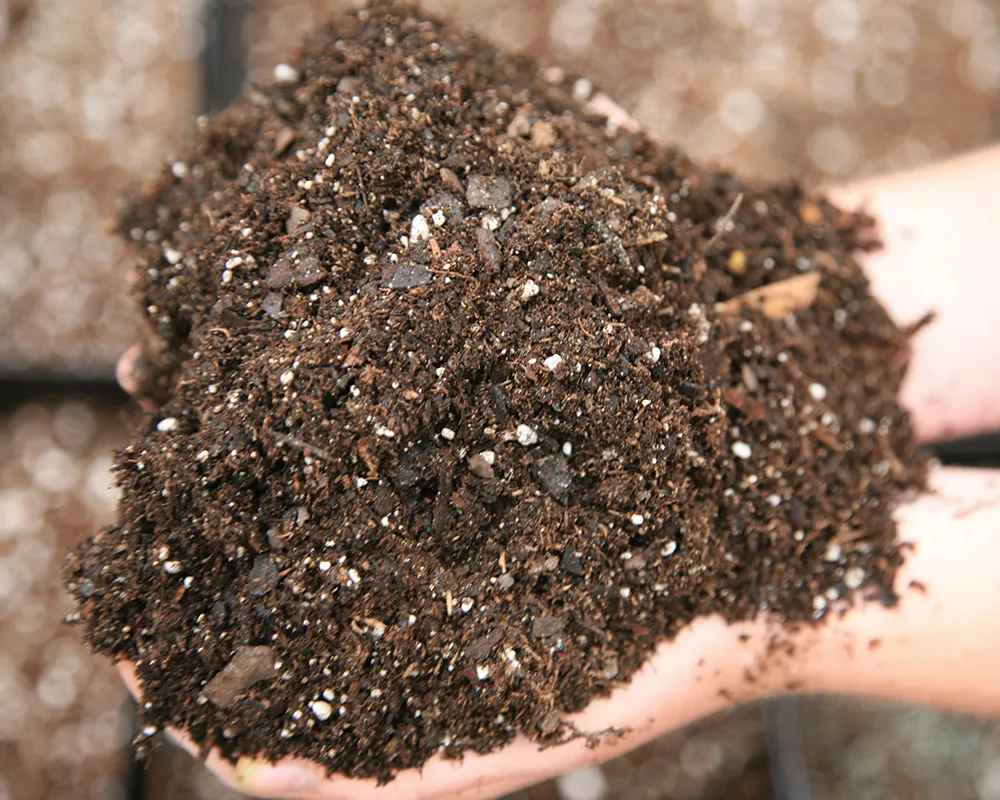 Perfect Soil Mixes for Every Indoor Plant - The Only Guide You'll Ever Need