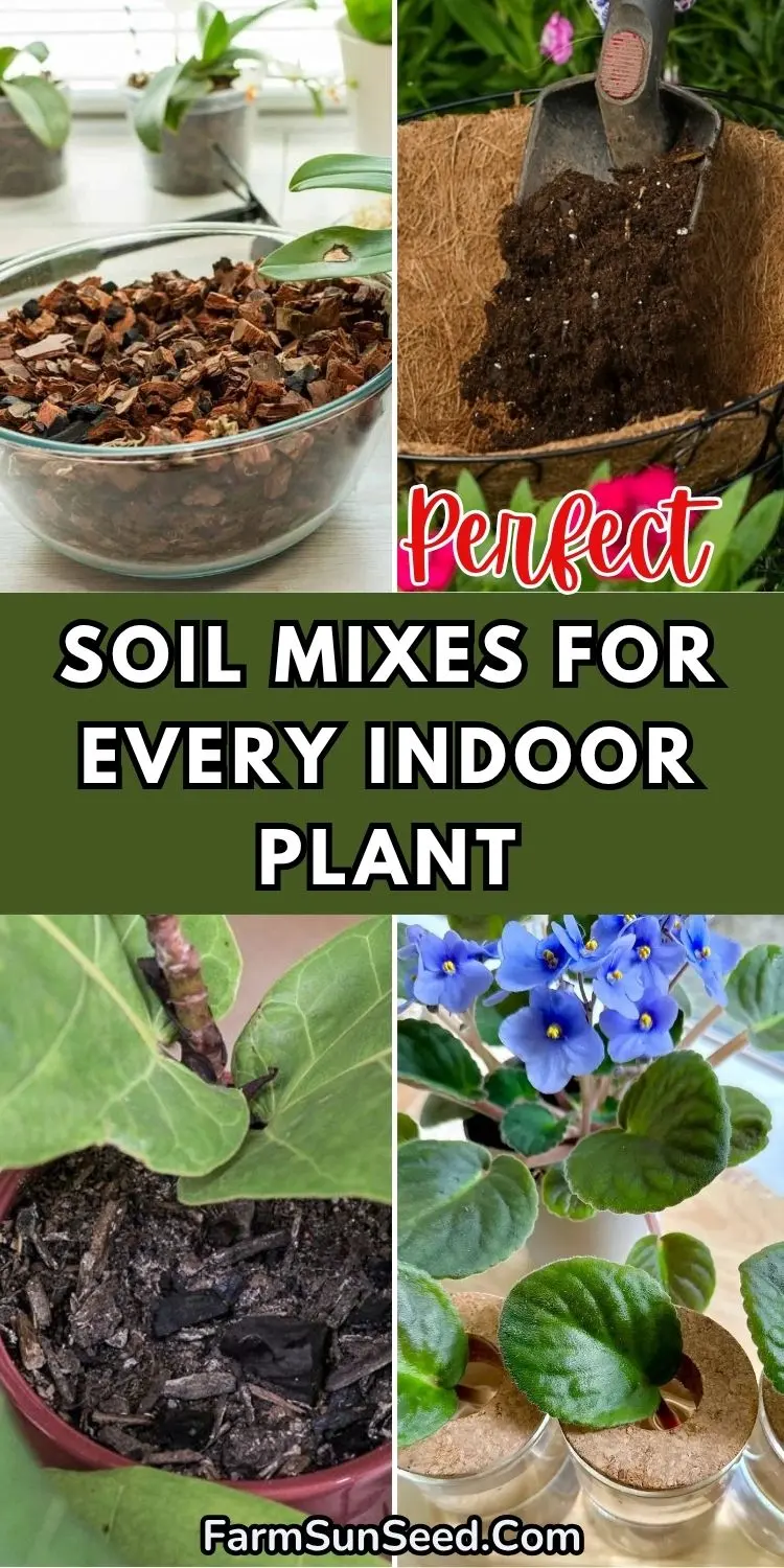 Perfect Soil Mixes for Every Indoor Plant - The Only Guide You'll Ever Need